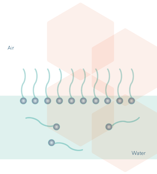 Structure, interface, micelles | Lamberti Group